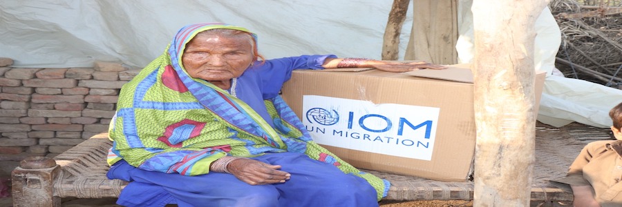 About Us | SEAD Foundation